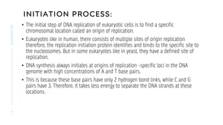 INITIATION mol bio Dna in eukaryotes initiation part | PDF
