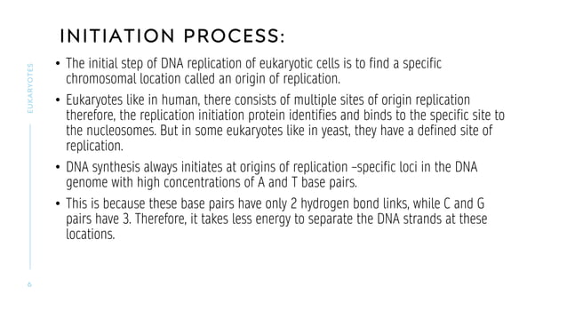 INITIATION mol bio Dna in eukaryotes initiation part | PPT