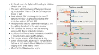 INITIATION mol bio Dna in eukaryotes initiation part | PPT