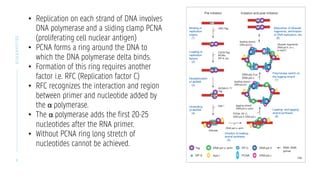 INITIATION mol bio Dna in eukaryotes initiation part | PPT