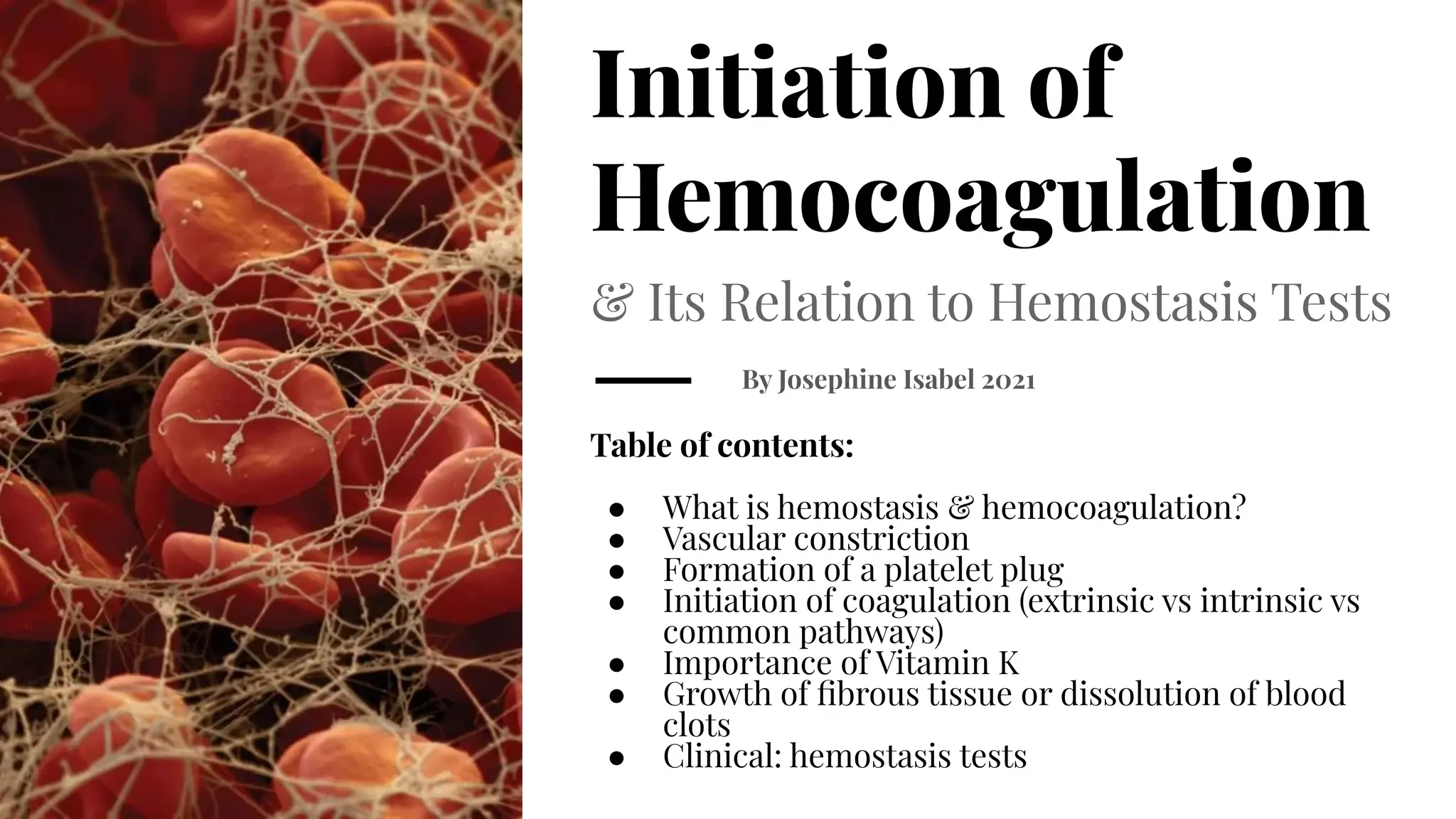 Initiation of Hemocoagulation and Its Relation to Hemostasis Tests | PDF