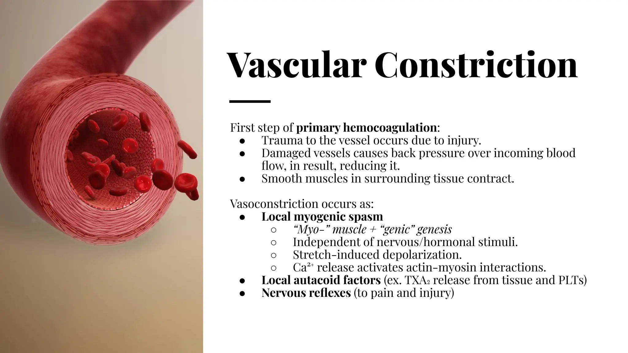 Initiation of Hemocoagulation and Its Relation to Hemostasis Tests | PDF