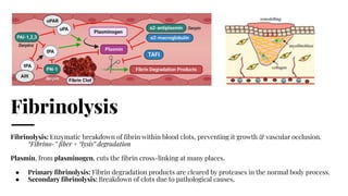 Initiation of Hemocoagulation and Its Relation to Hemostasis Tests | PPT