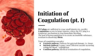 Initiation of Hemocoagulation and Its Relation to Hemostasis Tests | PPT