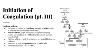 Initiation of Hemocoagulation and Its Relation to Hemostasis Tests | PPT
