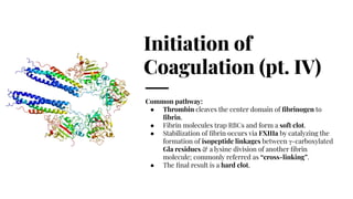 Initiation of Hemocoagulation and Its Relation to Hemostasis Tests | PPT