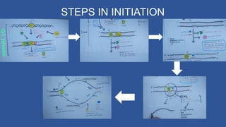 INITIATION OF REPLICATION IN EUKARYOTES.pptx