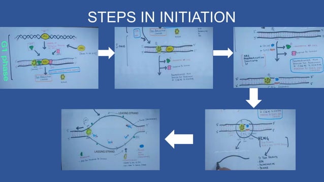 INITIATION OF REPLICATION IN EUKARYOTES.pptx