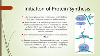 Initiation of Translation.pptx