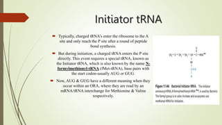 Initiation of Translation.pptx