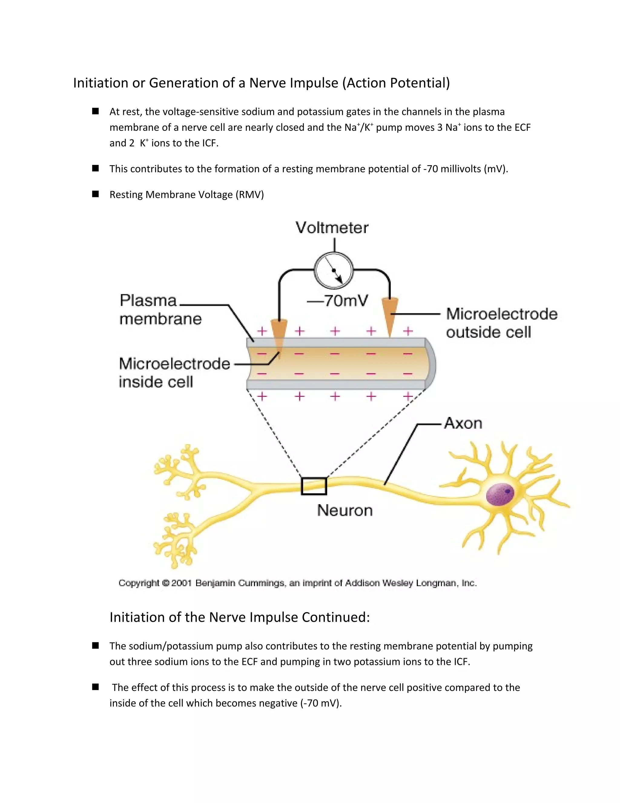 Initiation or generation of a nerve impulse | DOC