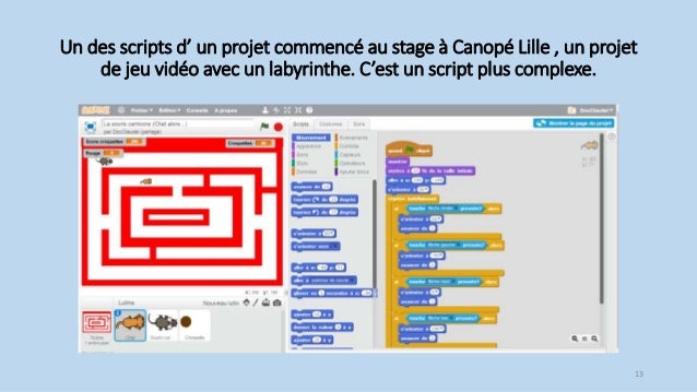 tutoriel scratch pdf
