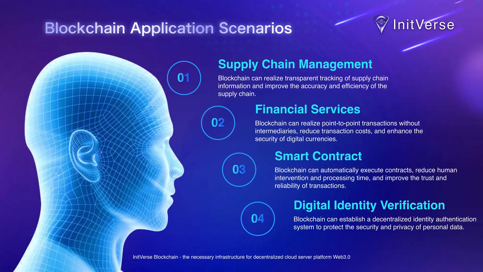 InitVerse ：Blockchain development trends in 2024.pdf