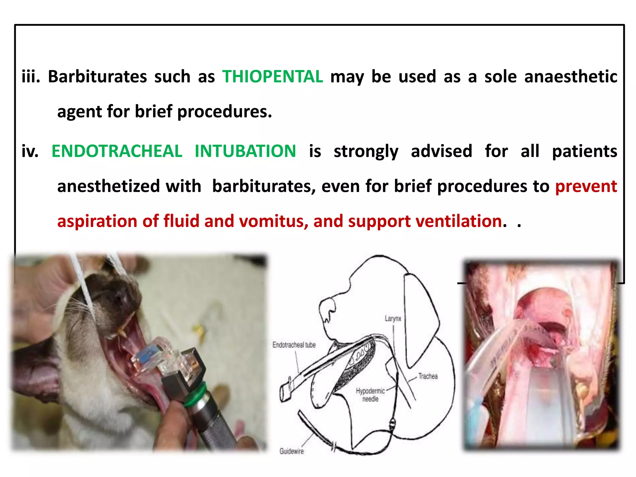 Injectable barbiturates | PPTX