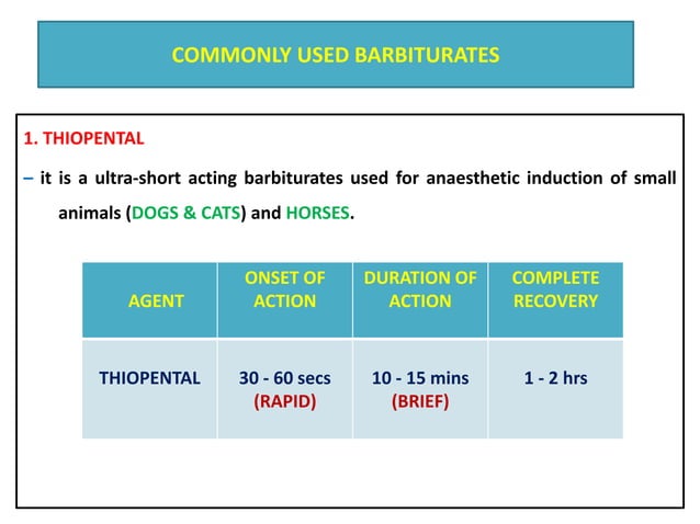 Injectable barbiturates | PPT