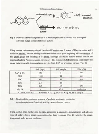 Injection of biomass_online | PDF