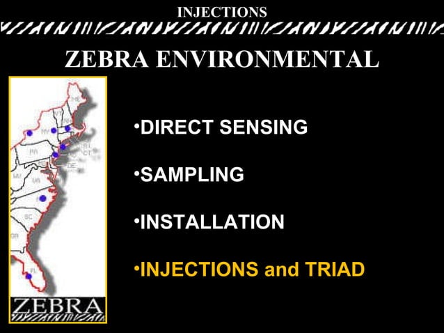 ZEBRA Environmental Injections | PPT | Science