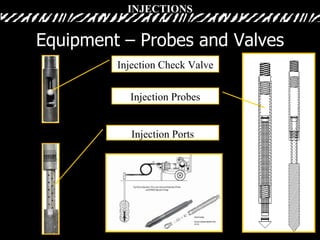ZEBRA Environmental Injections | PPT | Science