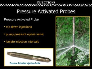 ZEBRA Environmental Injections | PPT | Science