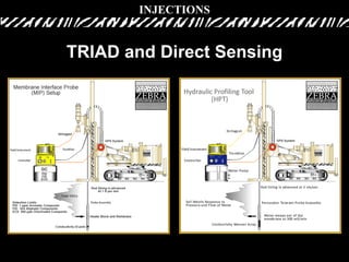 ZEBRA Environmental Injections | PPT | Science