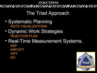 ZEBRA Environmental Injections | PPT | Science