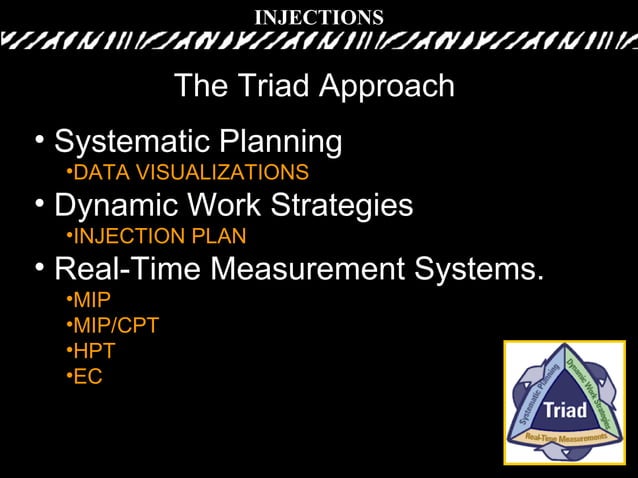 ZEBRA Environmental Injections | PPT | Science
