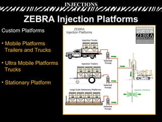 ZEBRA Environmental Injections | PPT | Science