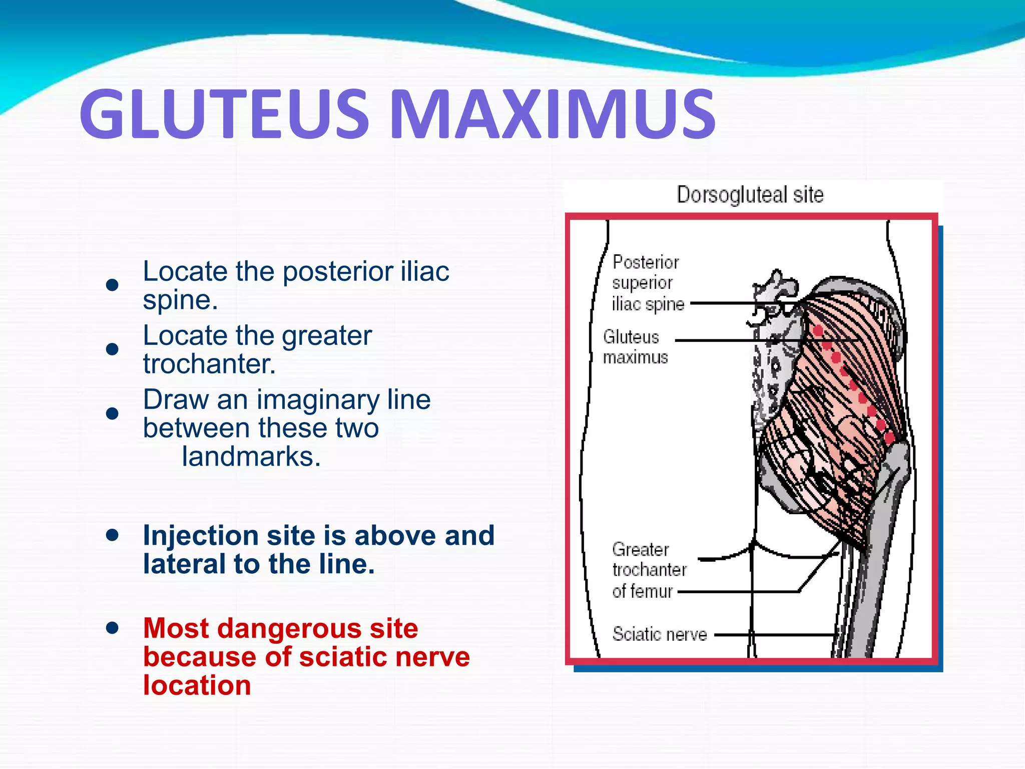 Injections | PPTX | First Aid | Injuries