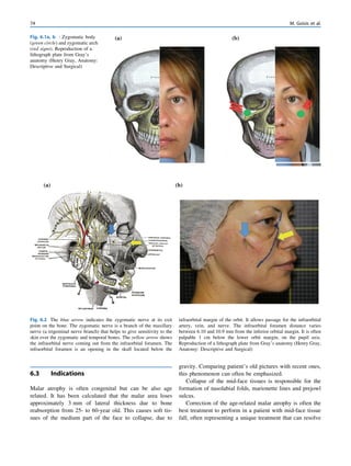 Injections in Aesthetic Medicine_ Atlas of Full-face and Full-body ...