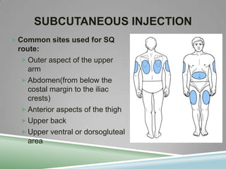 Subcutaneous Injection Sites Names