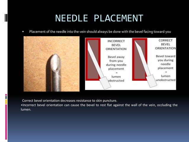 Injection techniques in equines and canines | PPT