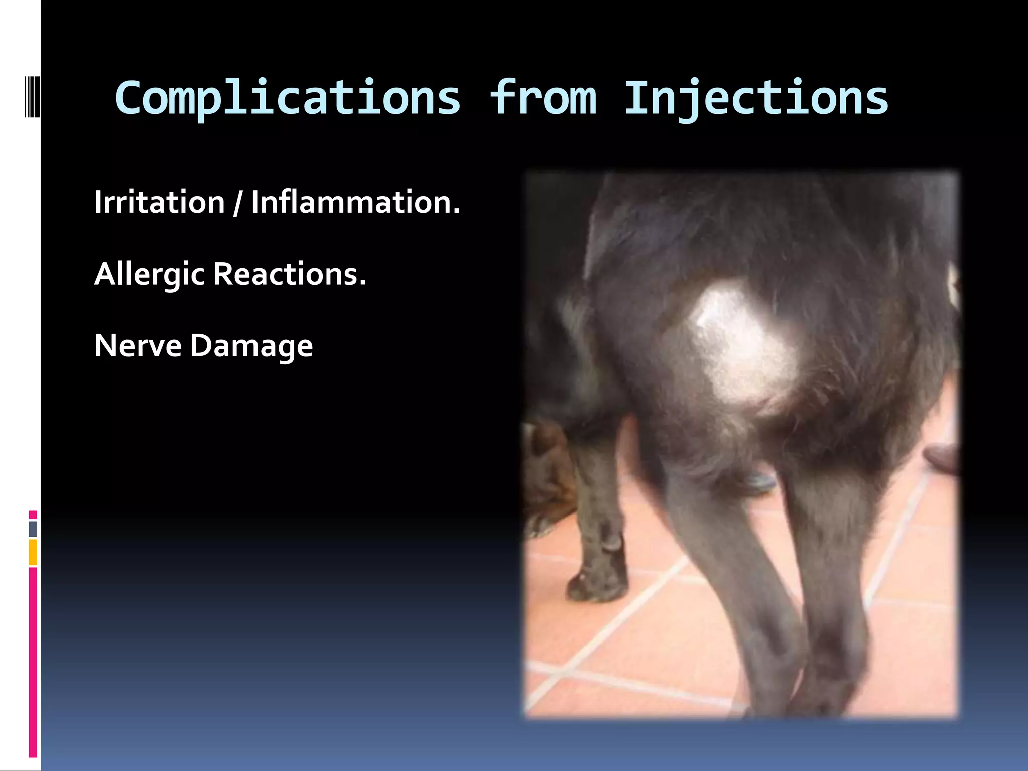 Injection techniques in equines and canines | PDF