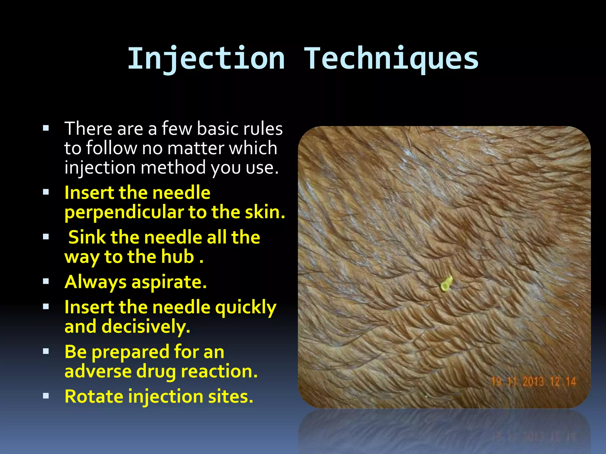 Injection techniques in equines and canines | PPTX