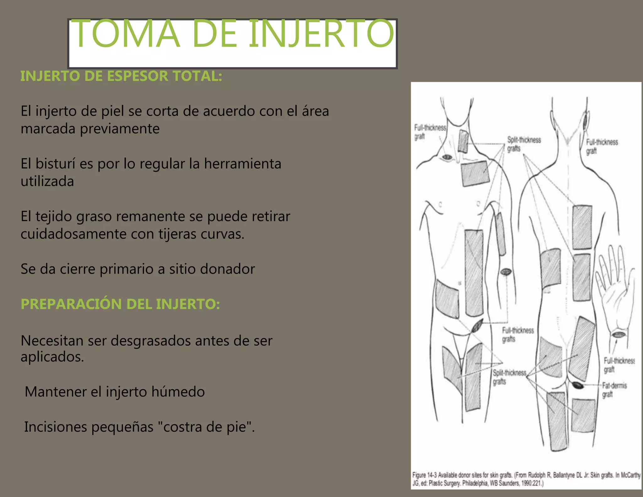 Injertos de piel | PPTX
