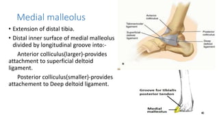 Injuries around ankle presentation by Dr. Shiva Prasad | PPTX