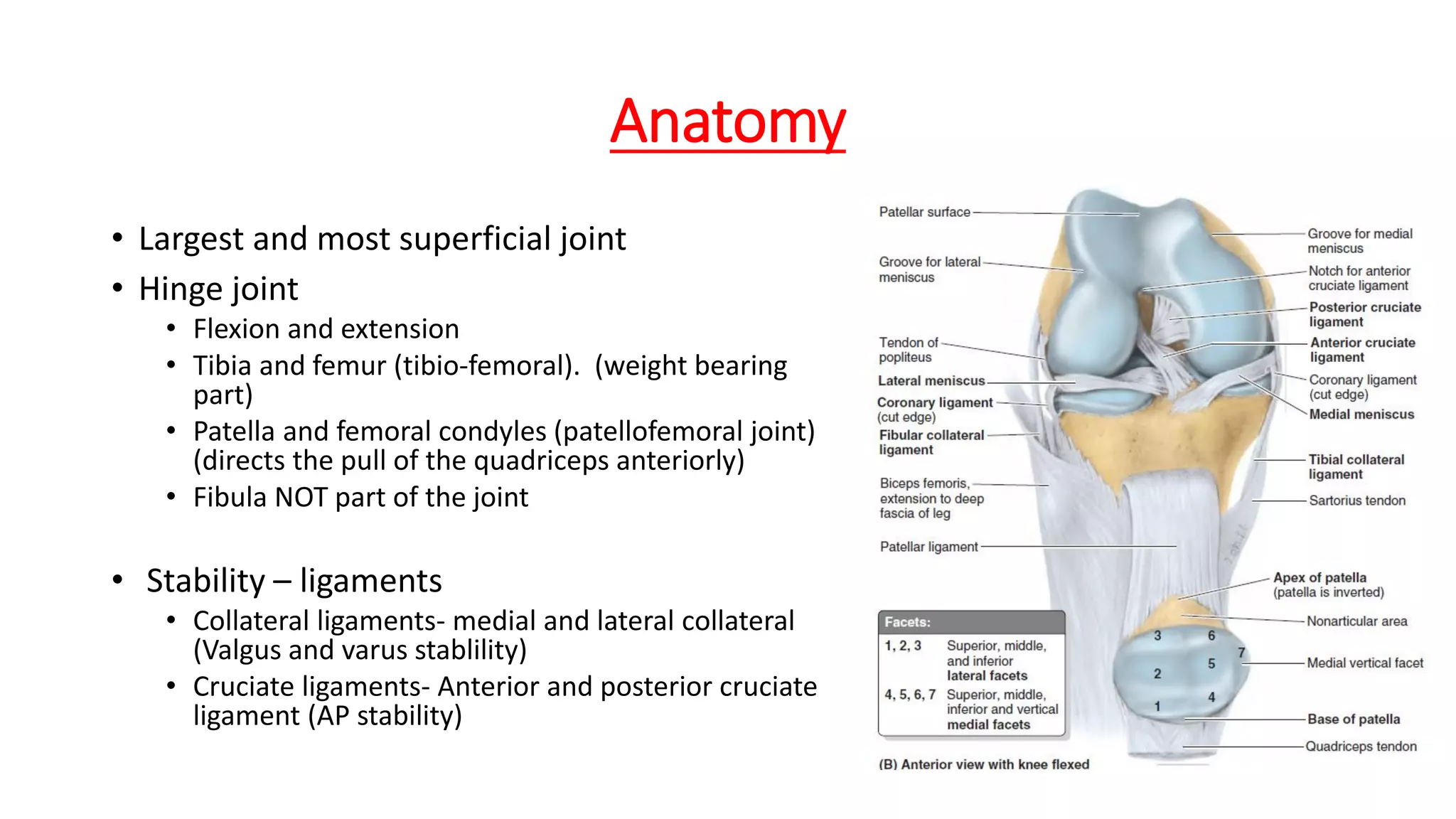Injuries around the knee | PDF