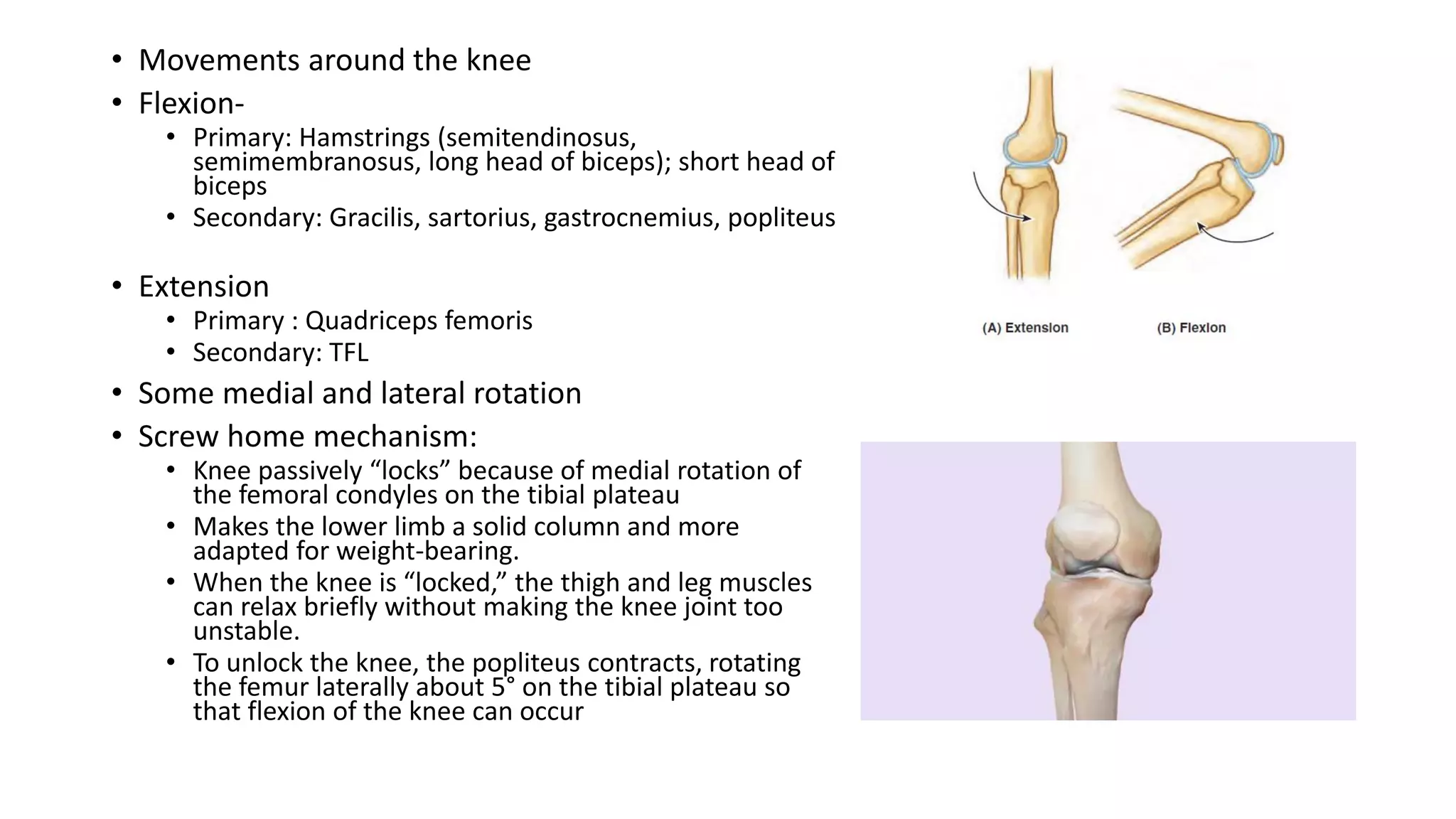Injuries around the knee | PDF