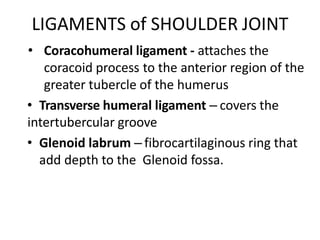 Injuries around the shoulder(maheswari) | PPTX