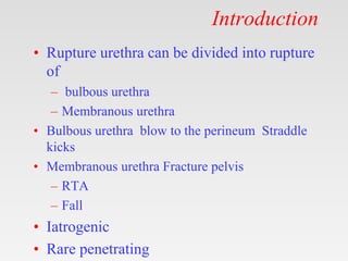 Injuries male urethra.pptx