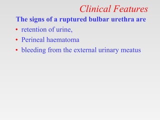 Injuries male urethra.pptx