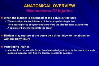 Urinary Bladder Injuries by Sayed Eleweedy | PPT