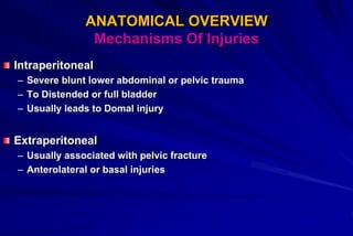 Urinary Bladder Injuries by Sayed Eleweedy | PPT