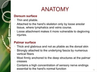 "Comprehensive Management of Hand Injuries: Approach, Treatment, and ...