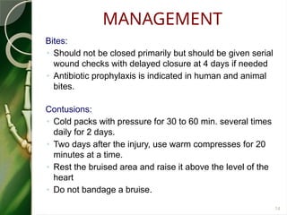 "Comprehensive Management of Hand Injuries: Approach, Treatment, and ...
