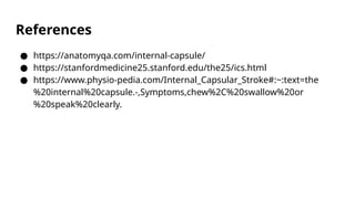 Injuries of internal capsule presentation-.pptx