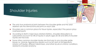 Injuries of the Chest and Shoulder Girdle.pdf