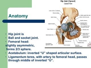 Orthopedics 5th year, 3rd lecture (Dr. Ali A.Nabi) | PPT