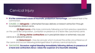 InjuriesToBirthCanal_OBG_125-127_2024_Final.pptx