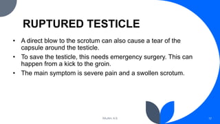 INJURIES TO THE MALE AND FEMALE GENITALIA.pptx | Sexual Conditions ...