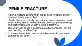 INJURIES TO THE MALE AND FEMALE GENITALIA.pptx | Sexual Conditions ...